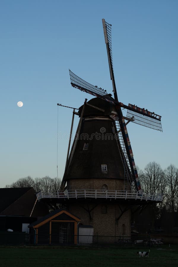 Traditional Dutch Grain Wind Mill in Oerle, North Brabant Stock Image ...