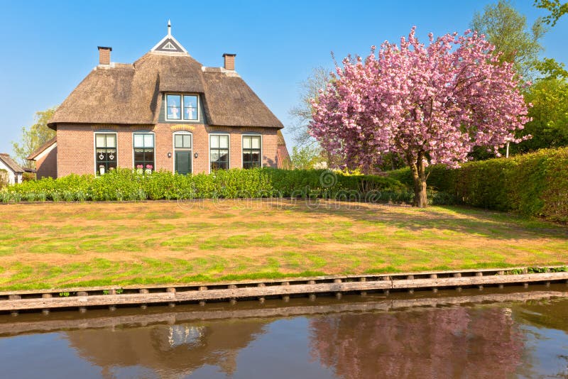 Traditional Dutch House at Spring Stock Image - Image of green, flower ...