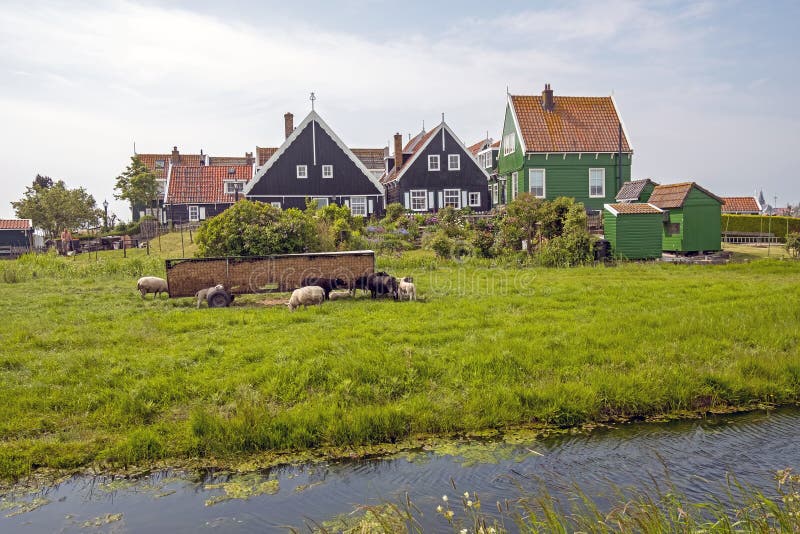 Traditional Dutch Houses in the Countryside from the Netherlands in ...