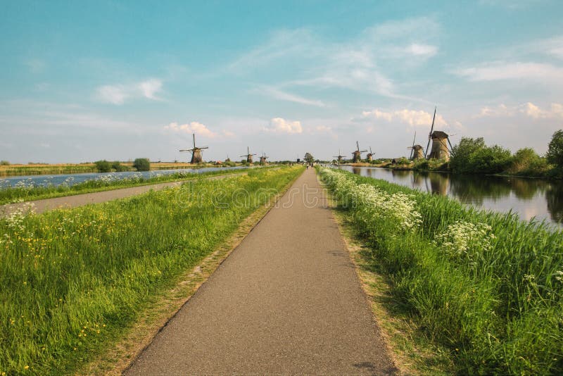 Traditional Dutch Windmills with Green Grass in the Foreground, the ...