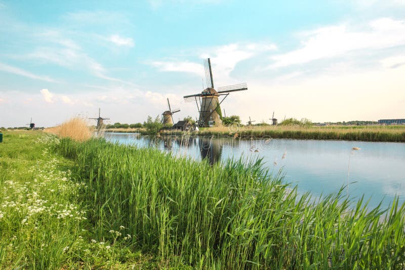 Traditional Dutch Windmills with Green Grass in the Foreground, the ...