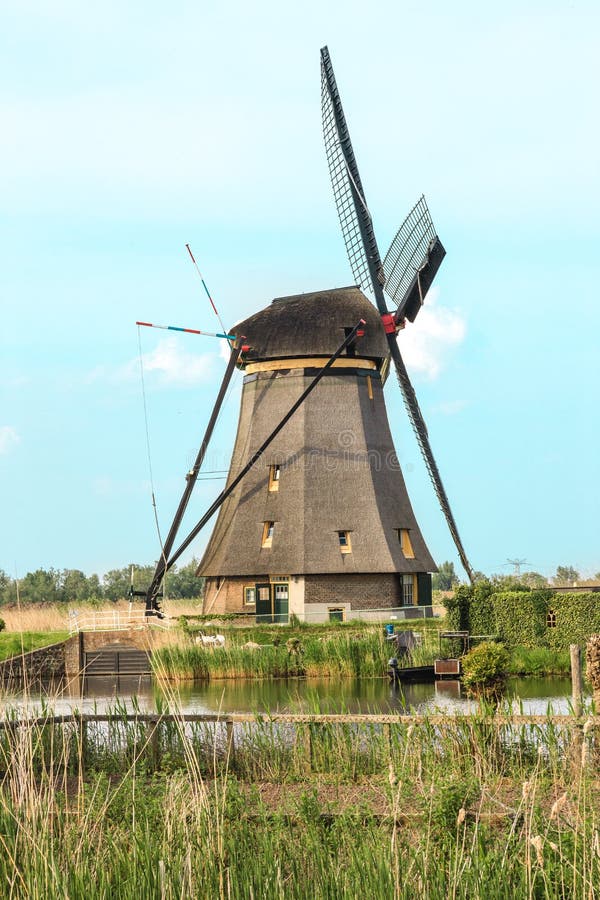 Traditional Dutch Windmills with Green Grass in the Foreground, the ...