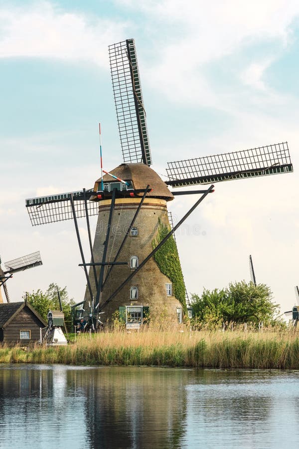 Traditional Dutch Windmills with Green Grass in the Foreground, the ...