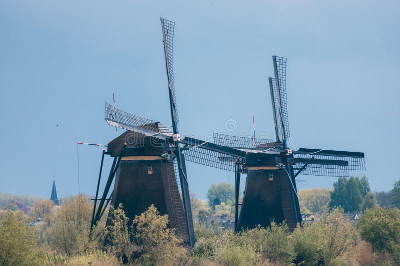 Traditional Dutch Windmills and Rural Landscape, the Netherlands Stock ...