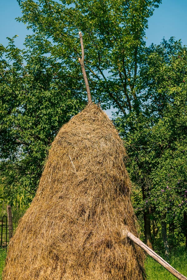 Traditional Eastern European Haystacks on Field Stock Image - Image of ...