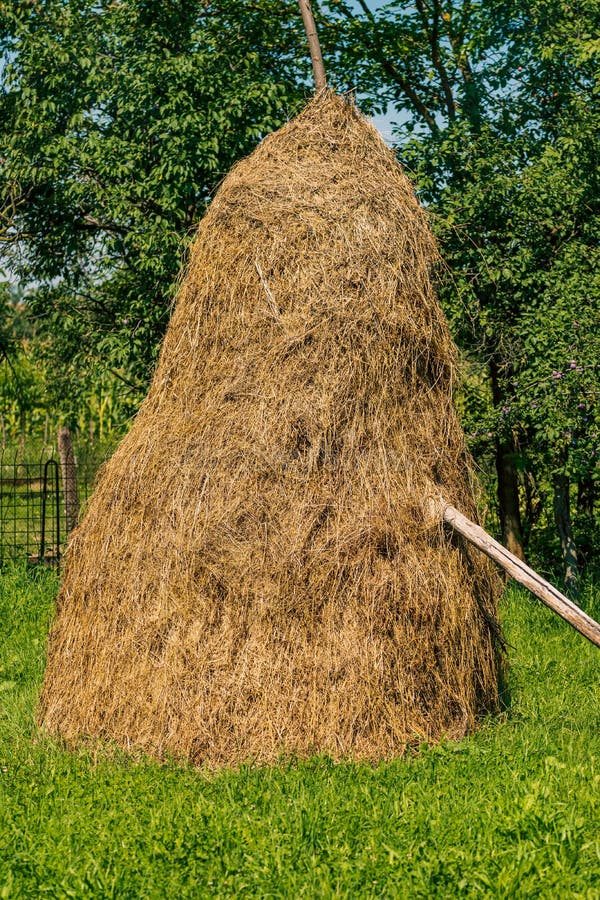 Traditional Eastern European Haystacks on Field Stock Image - Image of ...
