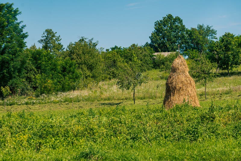 Traditional Eastern European Haystacks on Field Stock Image - Image of ...