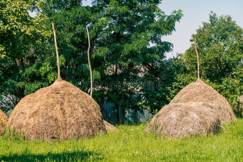 Traditional Eastern European Haystacks on Field Stock Image - Image of ...