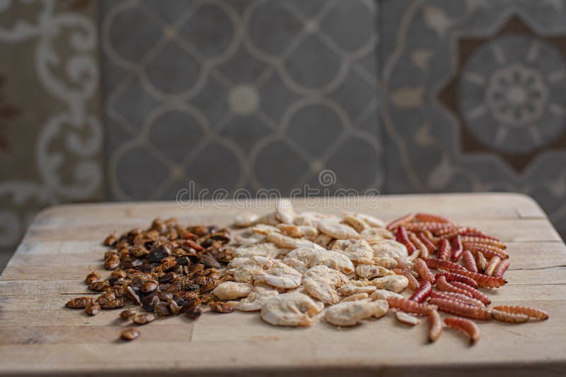 Traditional Edible Mexican Insects and Shrimps on a Table at Kitchen ...