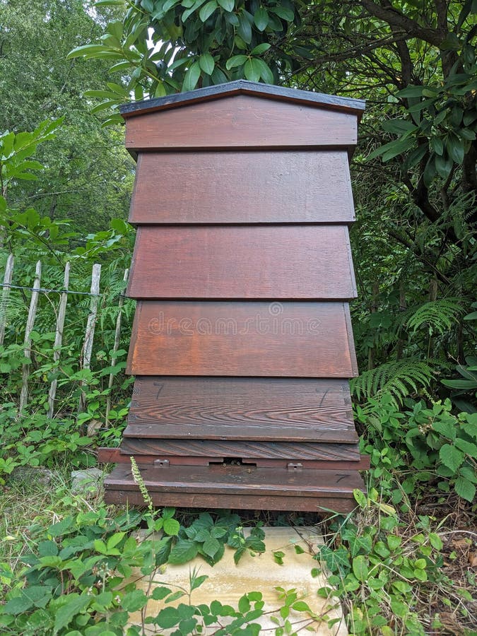 Traditional English Bee Hive in the Forest Stock Image - Image of tree ...
