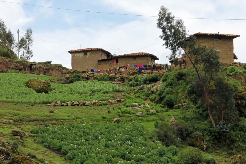 Traditional Farmer House in Peru Stock Photo - Image of poverty ...