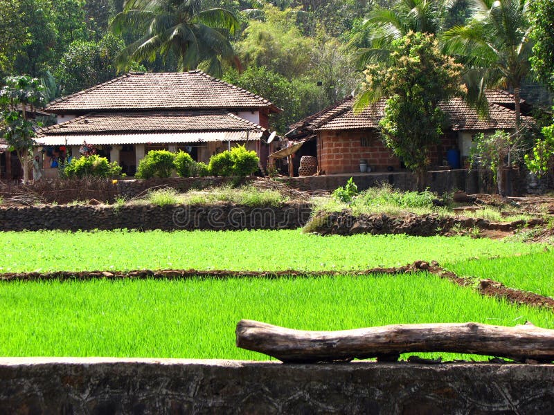 Traditional Farmhouse stock photo. Image of green, house - 2030684