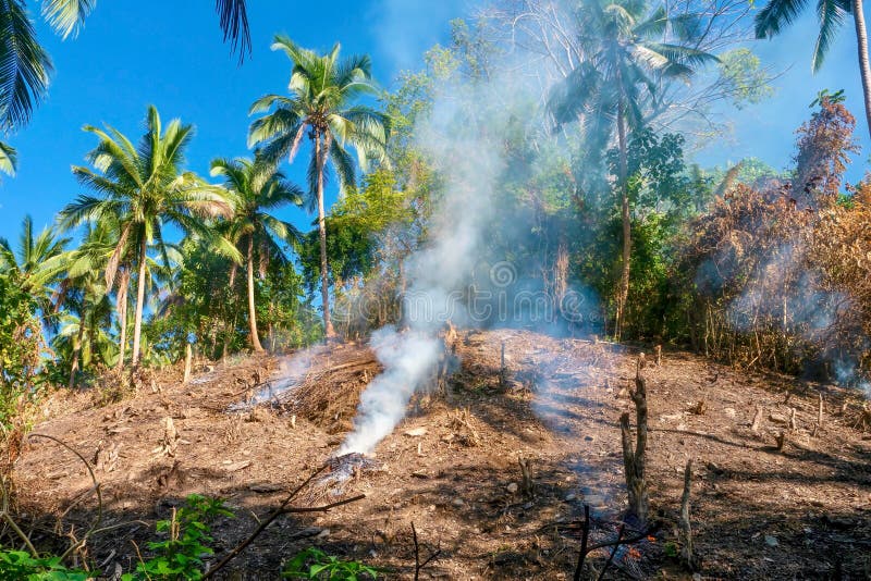 Traditional Farming Method of Clearing and Burning Land . Stock Photo ...