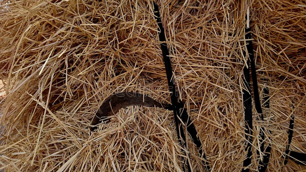 Traditional Farming Tools in a Haystack Stock Photo - Image of texture ...