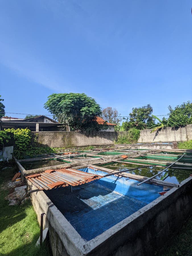 Traditional Fish Cultivation in Village Stock Image - Image of village ...