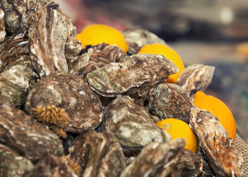 Traditional fish market stock image. Image of gourmet - 66161131