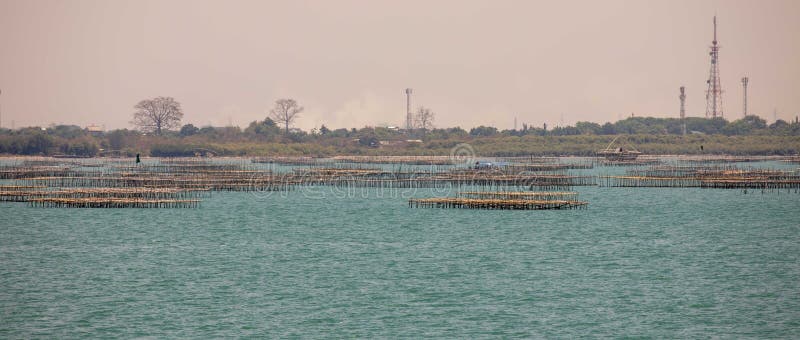 Traditional fish pens stock photo. Image of arts, cicebon - 341643826