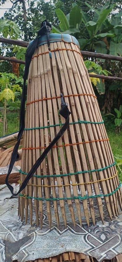 Traditional fish traps stock image. Image of agriculture - 271698997