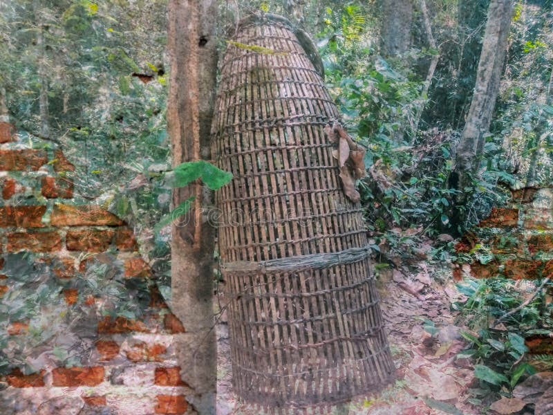 Traditional Fish Traps of the Kalimantan Dayak Tribe Stock Photo ...