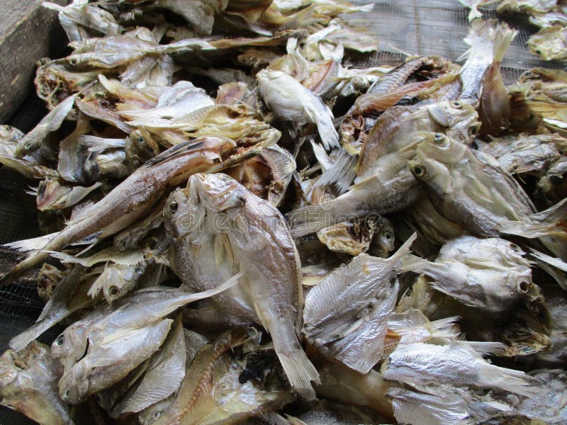 Traditional Fishing Settlements for the Salted Fish and Shrimp Paste ...