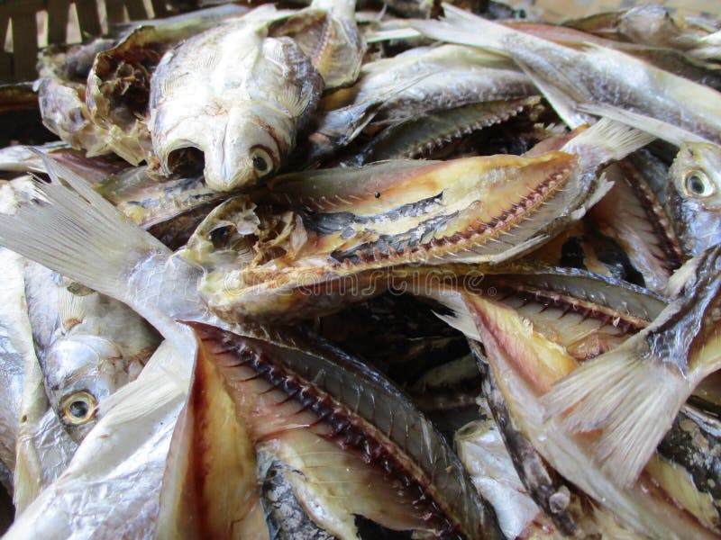 Traditional Fishing Settlements for the Salted Fish and Shrimp Paste ...