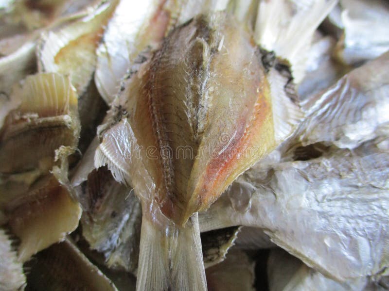 Traditional Fishing Settlements for the Salted Fish and Shrimp Paste ...
