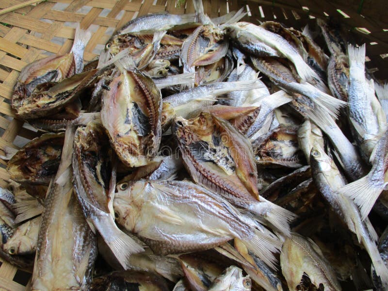 Traditional Fishing Settlements for the Salted Fish and Shrimp Paste ...