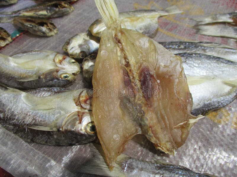 Traditional Fishing Settlements for the Salted Fish and Shrimp Paste ...