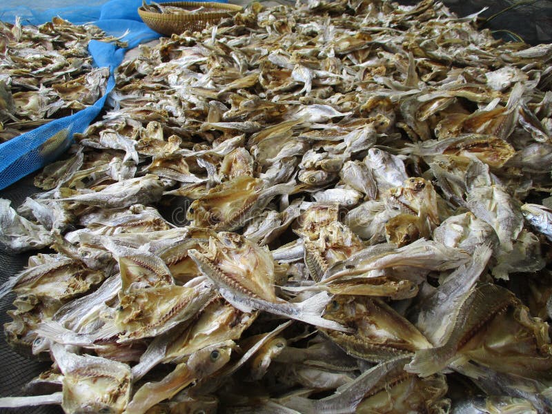 Traditional Fishing Settlements for the Salted Fish and Shrimp Paste ...