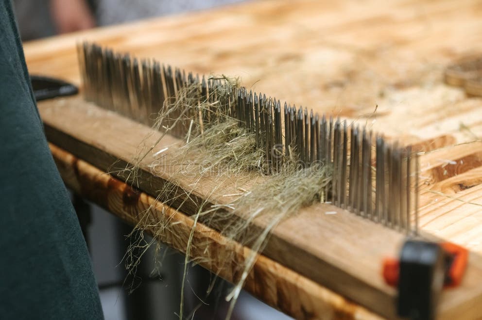 Traditional Flax Processing with Hackling Tool on Wooden Table for ...