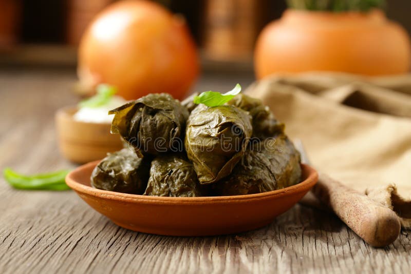 Dolma food in grape leaves stock photo. Image of dinner - 164201958