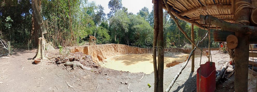 Traditional gold mining stock image. Image of plant - 221386509