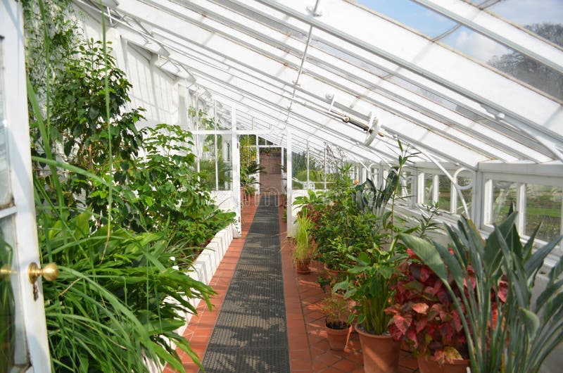 Traditional Greenhouse stock photo. Image of victorian - 52483288
