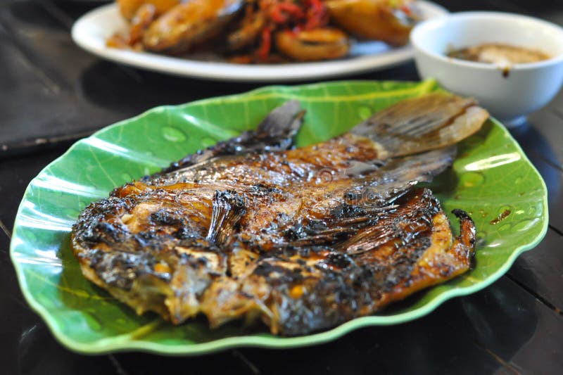 A traditional grilled Fish stock photo. Image of produce - 215080362