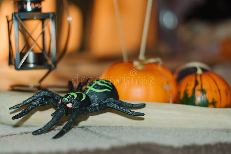 Traditional Halloween Decorations Background Stock Image - Image of ...