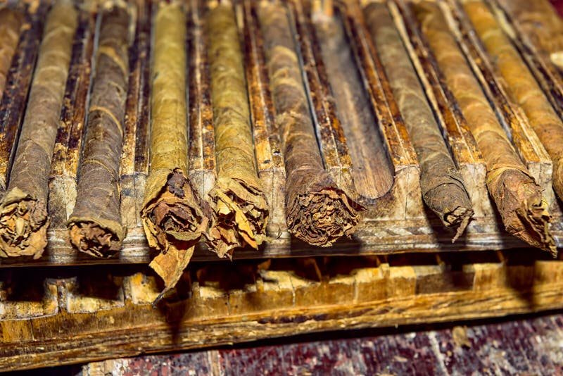 Traditional Handmade Cigars Stock Photo - Image of havana, haiti: 36748502