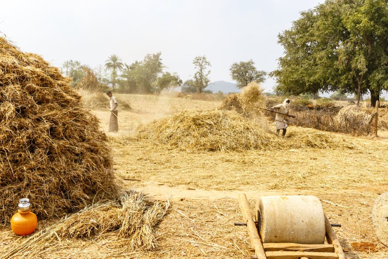 Traditional Haystack in Karnataka, India, Asia Editorial Photo - Image ...