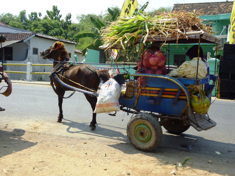 Traditional Horse and Cart editorial stock photo. Image of carriage ...