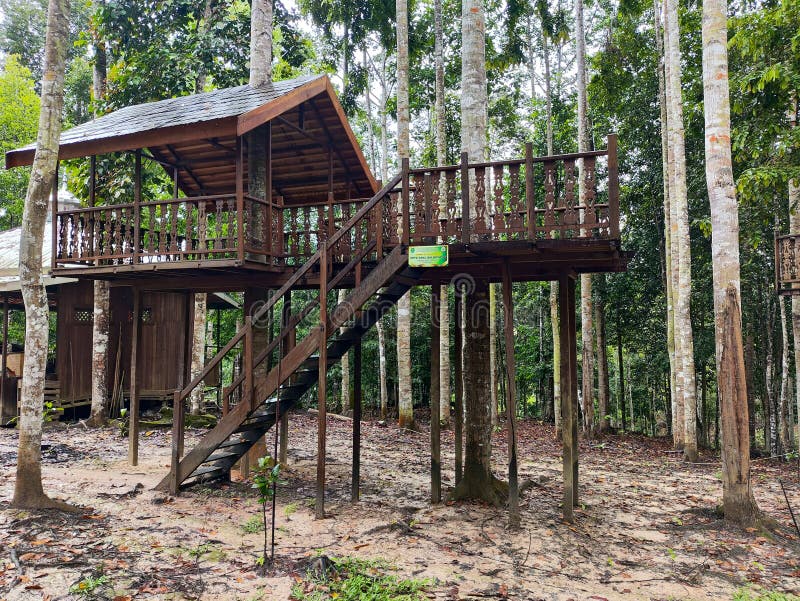 Traditional House of the Dayak Tribe Stock Image - Image of structure ...