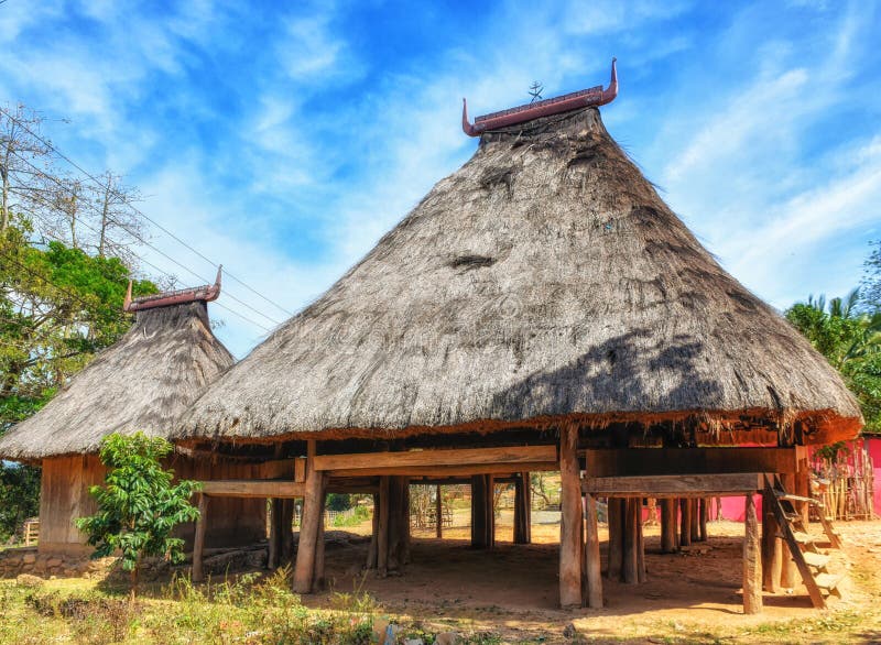 Traditional House on East Timor, Timor-Leste Stock Image - Image of ...