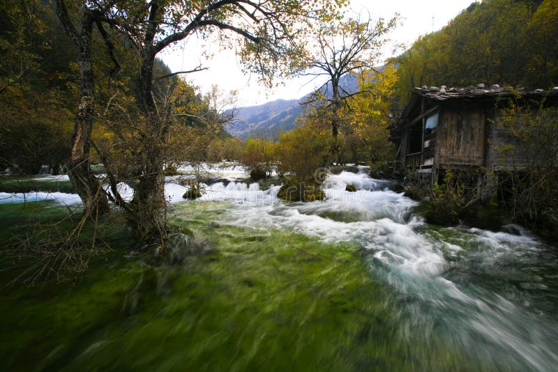 The River of Water Sources Oum Rabie Stock Image - Image of natural ...