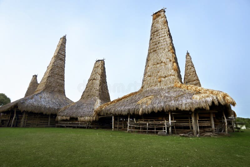 Traditional House of Sumba Tribe Stock Photo - Image of historic ...