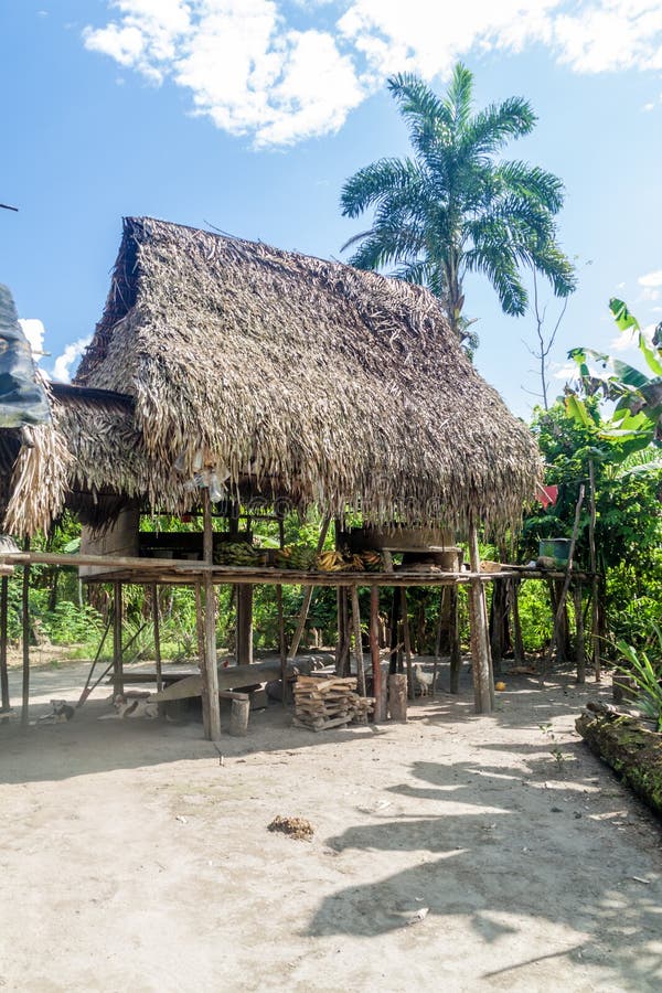 Traditional House On The Amazon River In Iquitos, Peru Stock Photo ...