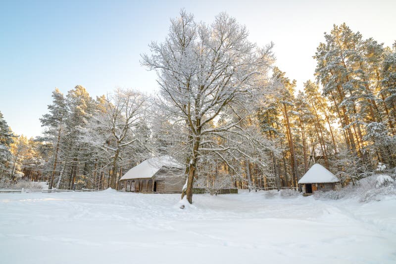 Traditional Houses in Forest Stock Image - Image of village ...