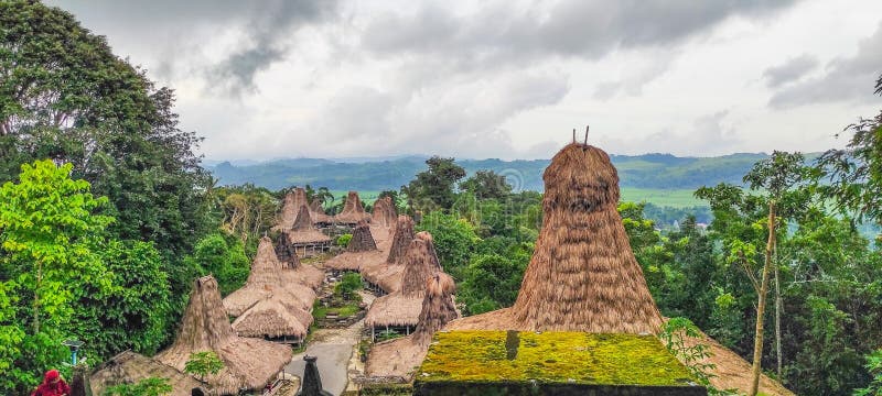 Traditional Sumbanese Village. Indonesia. Stock Image - Image of living ...