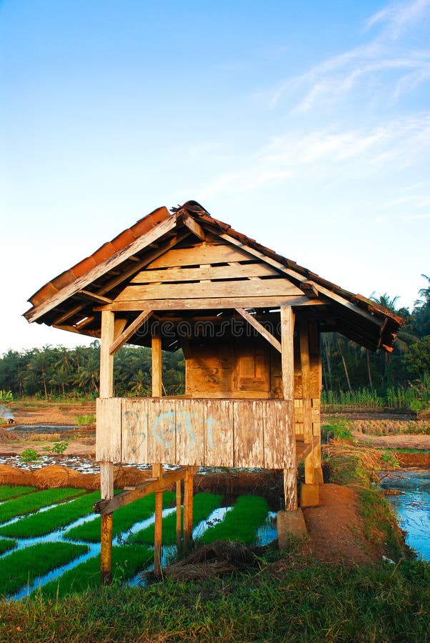Traditional hut stock photo. Image of farming, tropic - 14084992