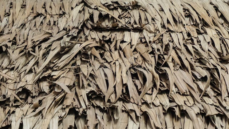 Traditional Hut Roof Made from Coconut Leaf Stock Photo - Image of ...