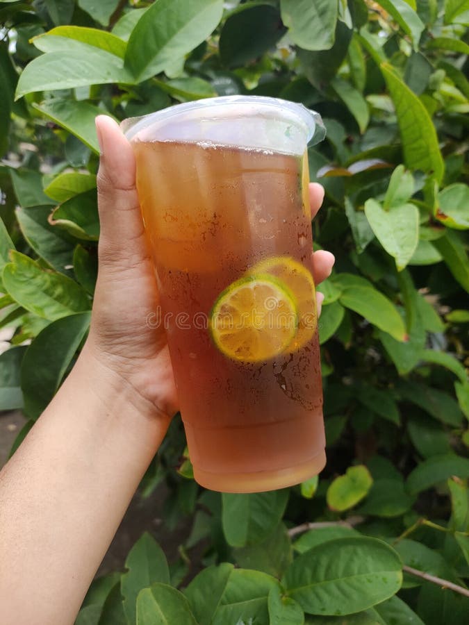 Traditional Ice Lemon Tea or Es Teh on the Table, Fresh Summer Drink ...