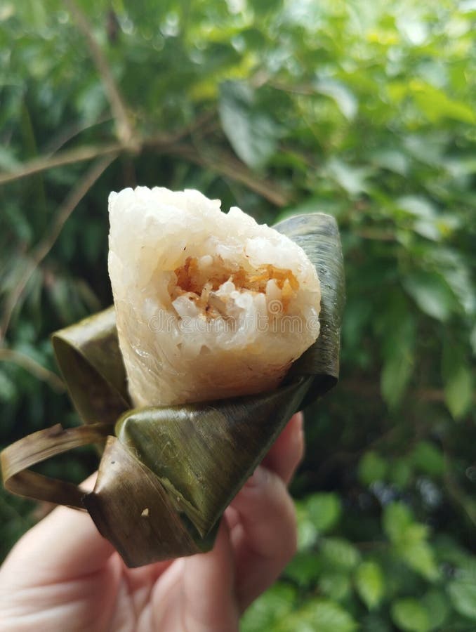 Traditional Indonesian Lemper with Coconut Serondeng Stock Image ...