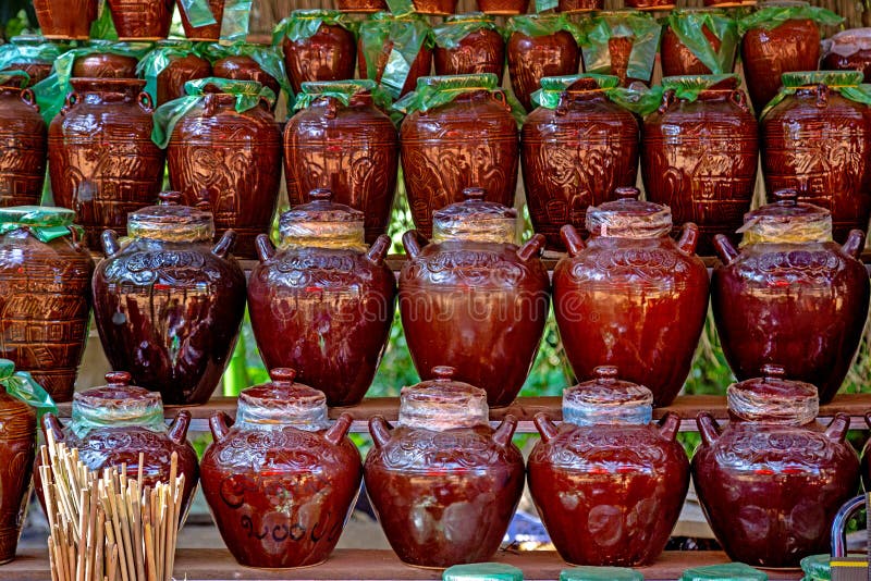 Traditional Jar Wine in Ratanakiri Province Stock Image - Image of ...
